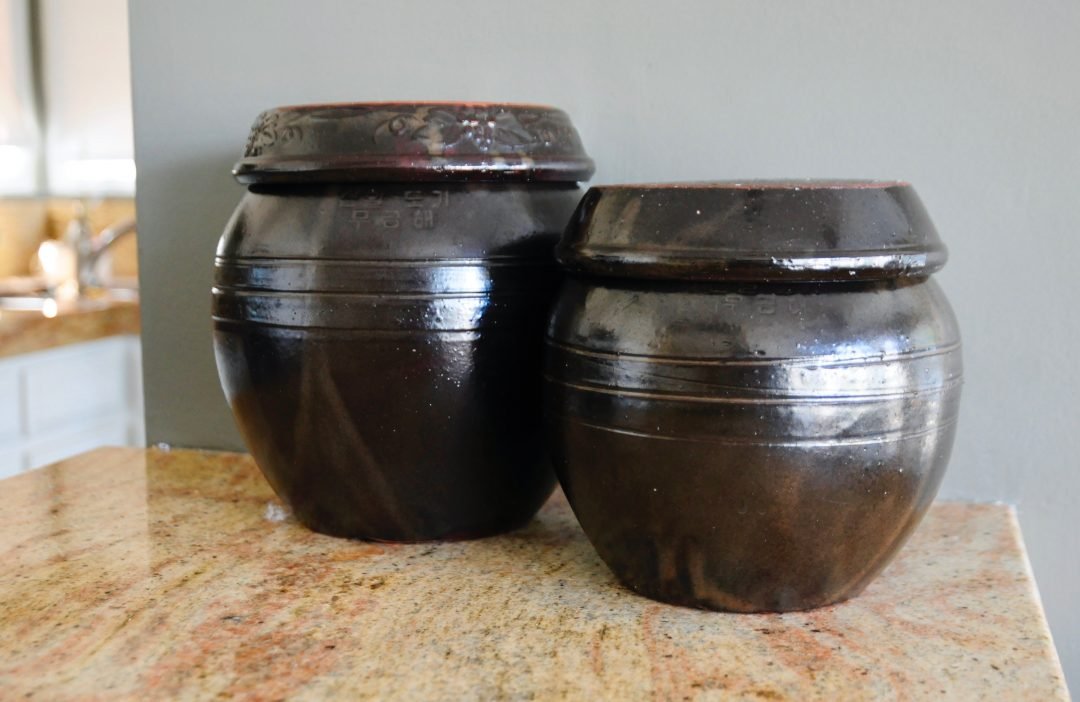 Why You Should Ferment In Onggi